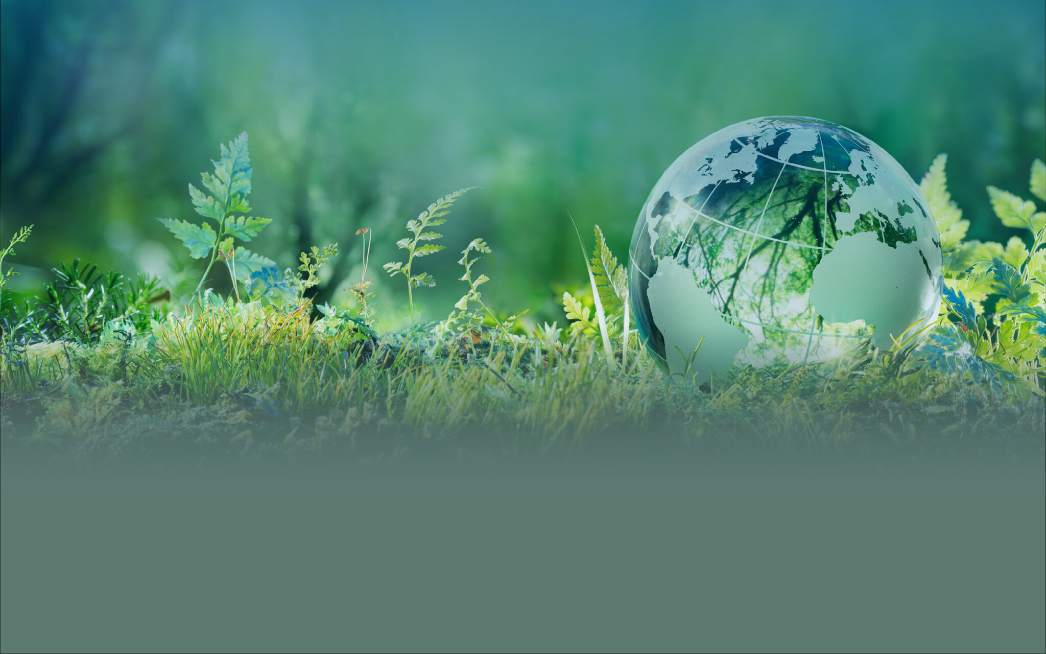 About us – DMU Global